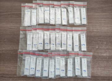 Truelogs Group